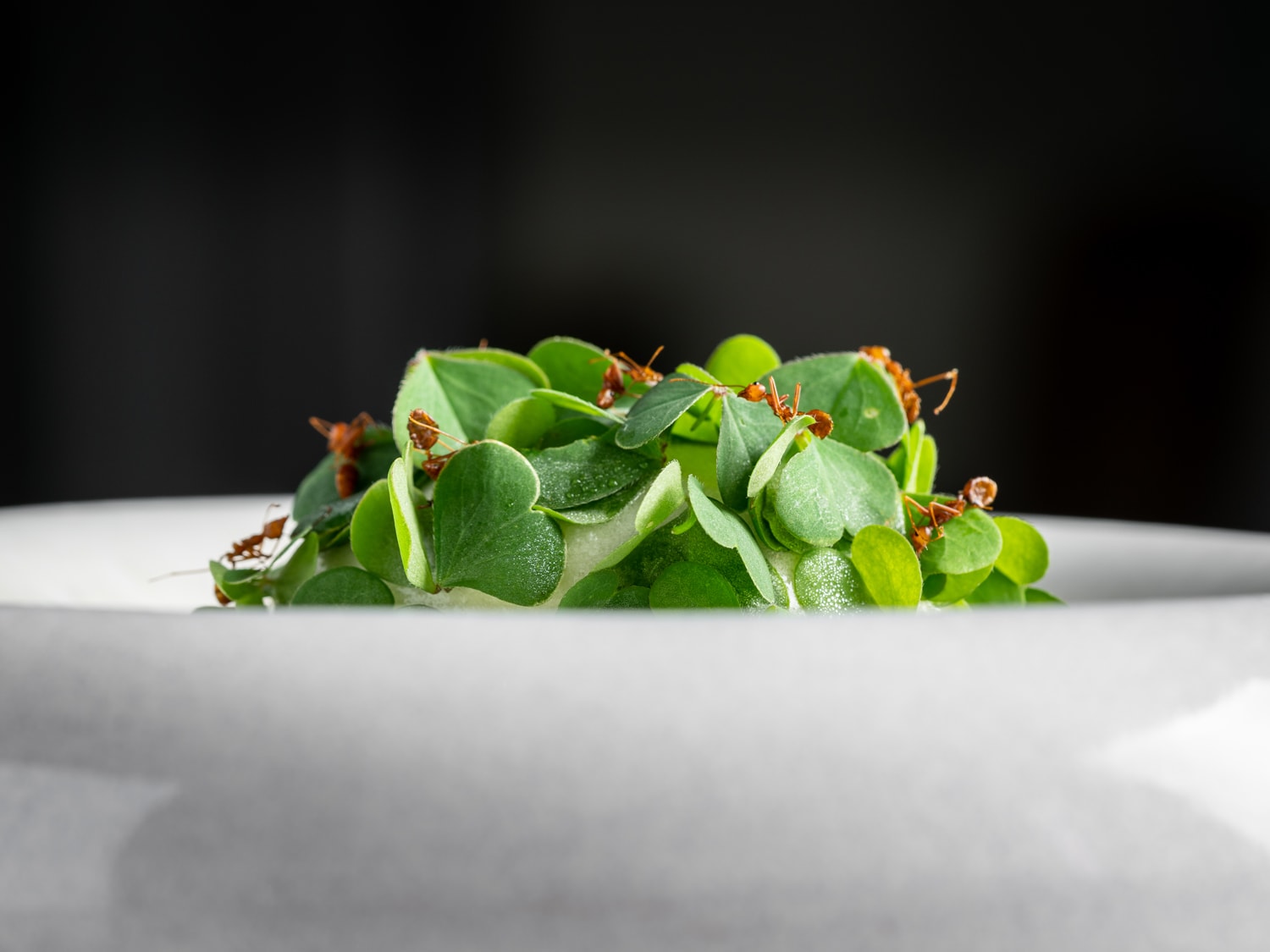 At Hom restaurant, Phuket’s local produce is celebrated in a 10-course ...