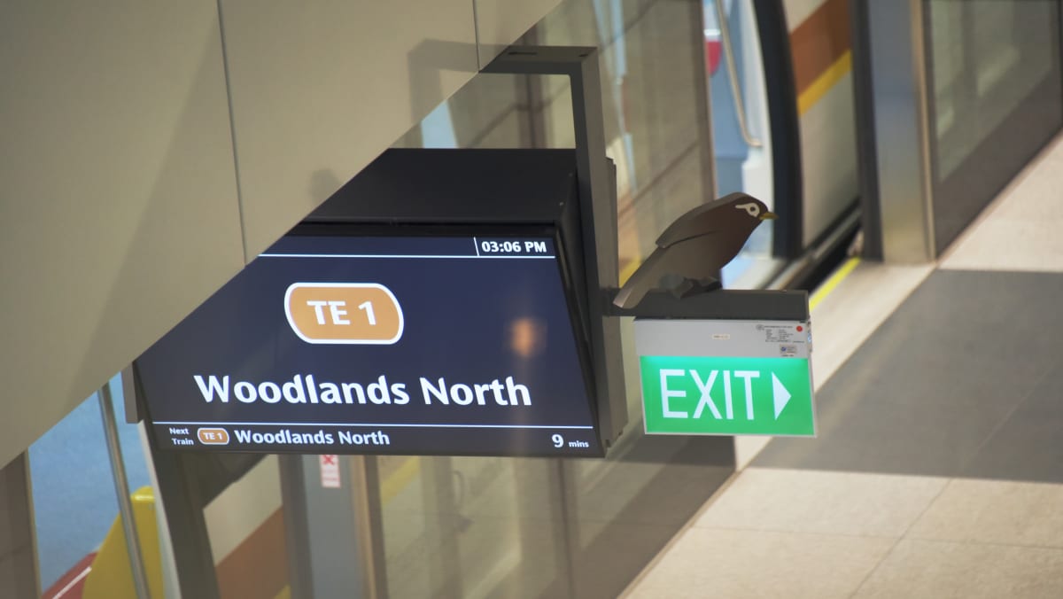 Banyan trees and bulbuls: How Thomson-East Coast Line Stage 2 stations ...