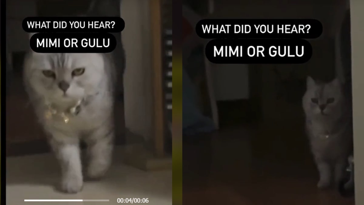 “Gulu or Mimi?”: Netizens Disagree Over What They Hear In Viral Video ...