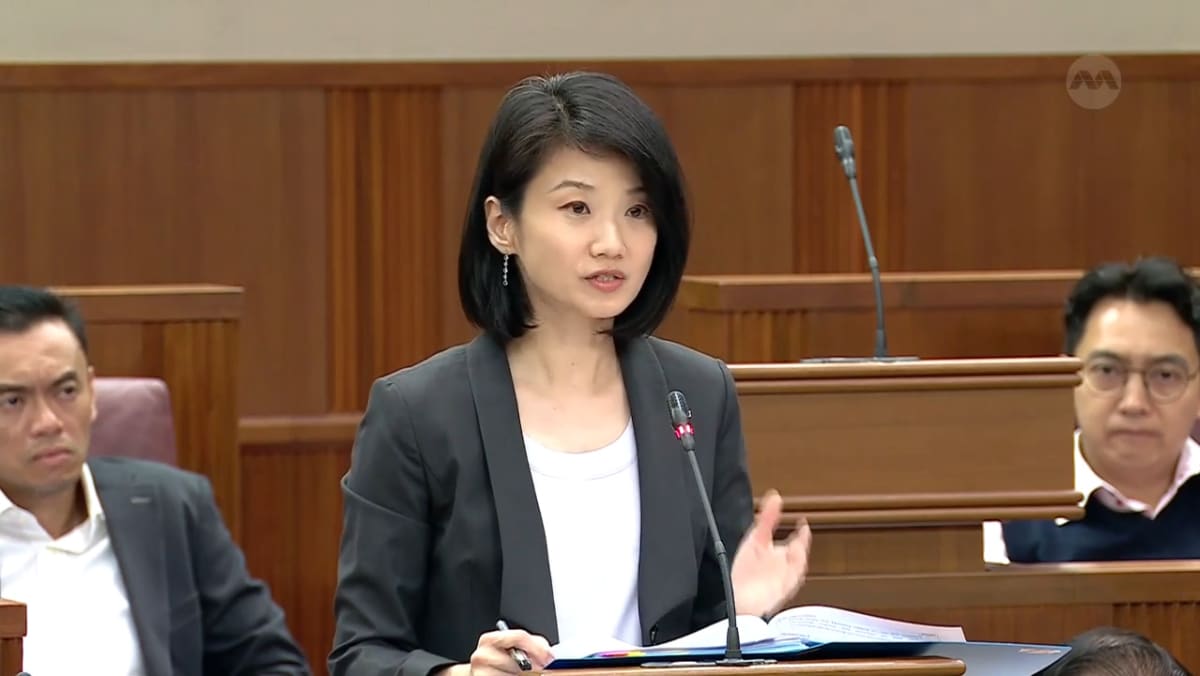 Sun Xueling on tackling illegal online activities - CNA