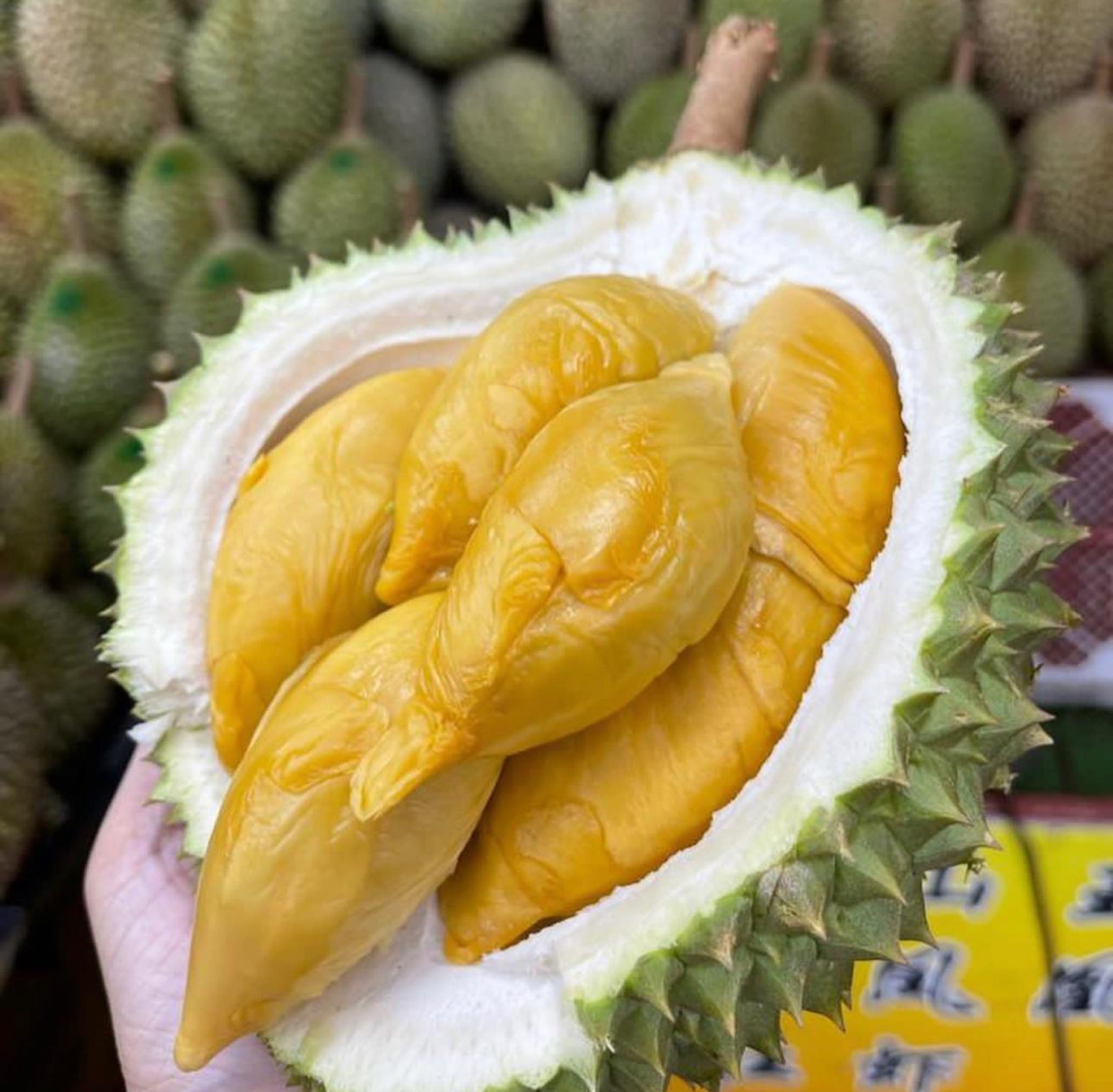 Mediacorp’s Wonder Shop Holding First Durian Live Stream With Free 2 ...