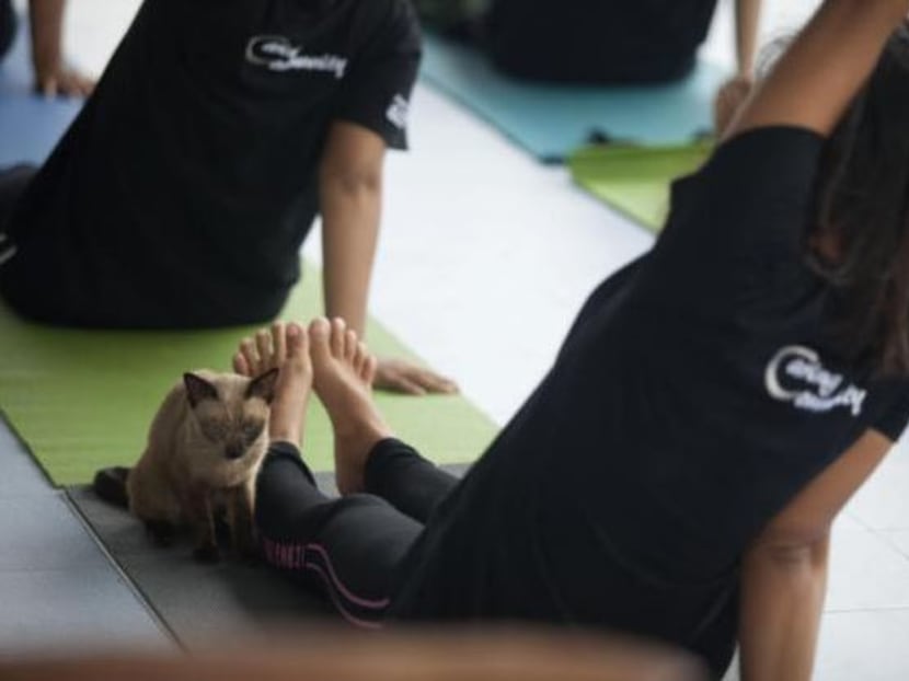 Dignity behind bars: A look into Thai female prison - TODAY