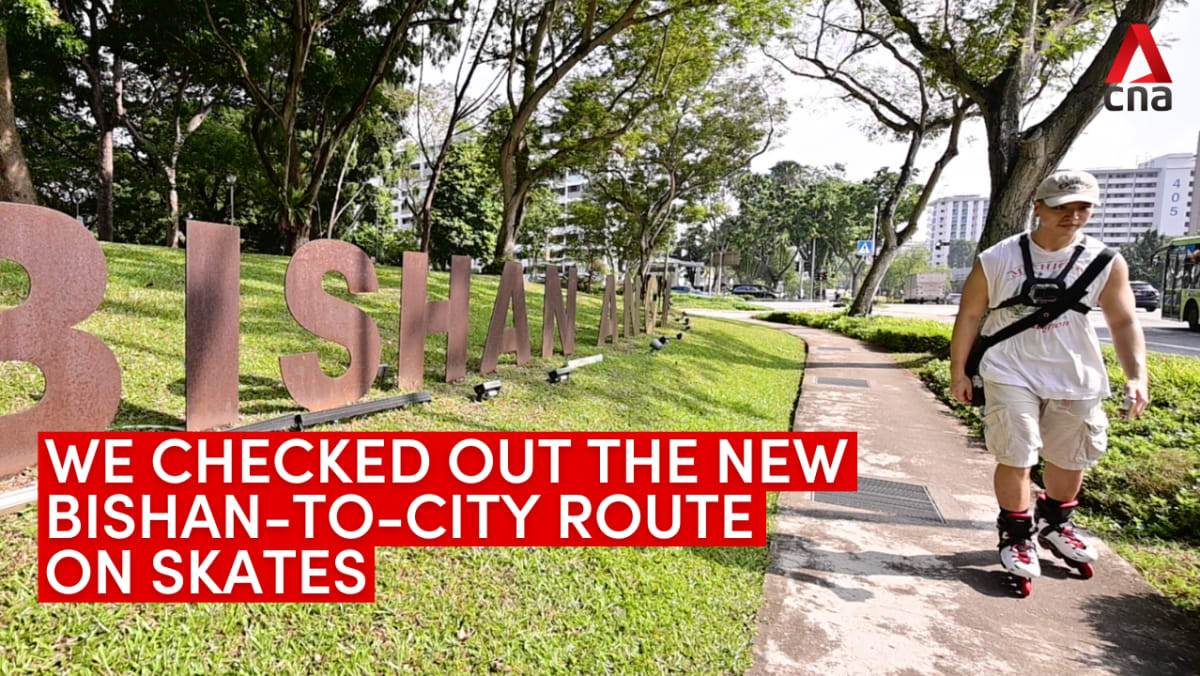 We checked out the Bishan-to-City route on skates | Video - CNA
