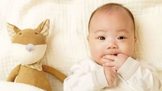 Joyce Chao's Instagram, Twitter & Facebook on IDCrawl