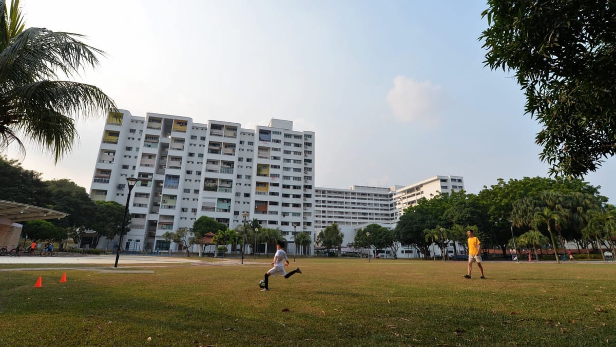 HDB move to bring communities together timely, say experts - TODAY