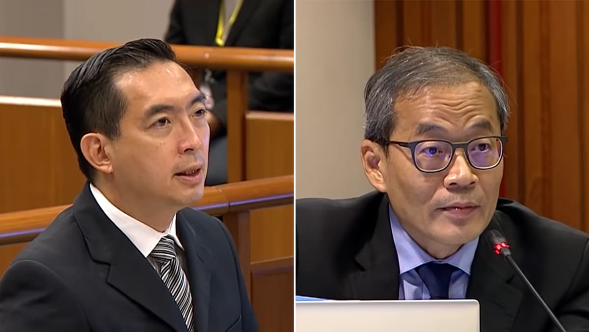Privileges committee hearing: WP's Dennis Tan asks expert if Raeesah ...