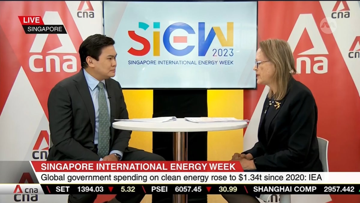 World fossil fuel demand to peak by 2030, transition to clean energy ...