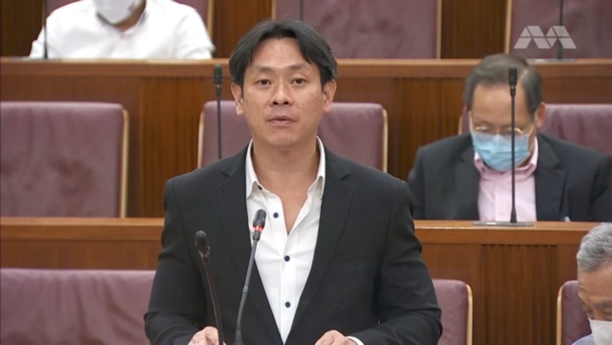 Committee of Supply 2021 debate, Day 3: Louis Ng on legislating right ...
