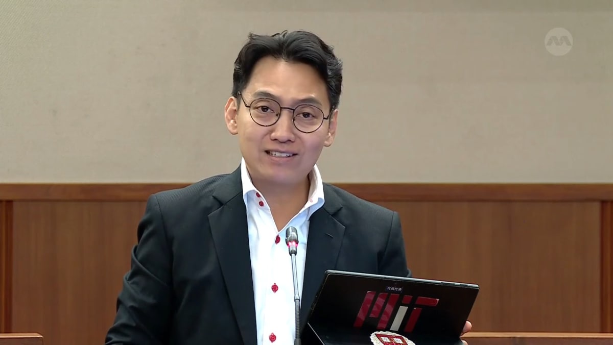 Committee of Supply 2024 debate, Day 1: Don Wee on SAF's acquisitions - CNA