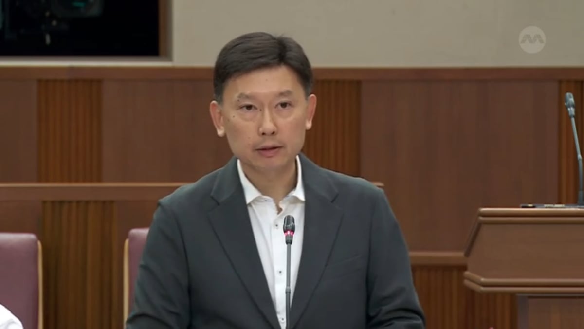 Chee Hong Tat on National Productivity Fund (Amendment) Bill - CNA