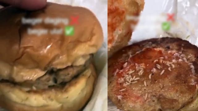 Maggot burger kym¿ | HardwareZone Forums