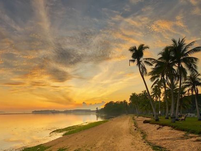 Self-guided heritage trail opens in Pasir Ris - TODAY