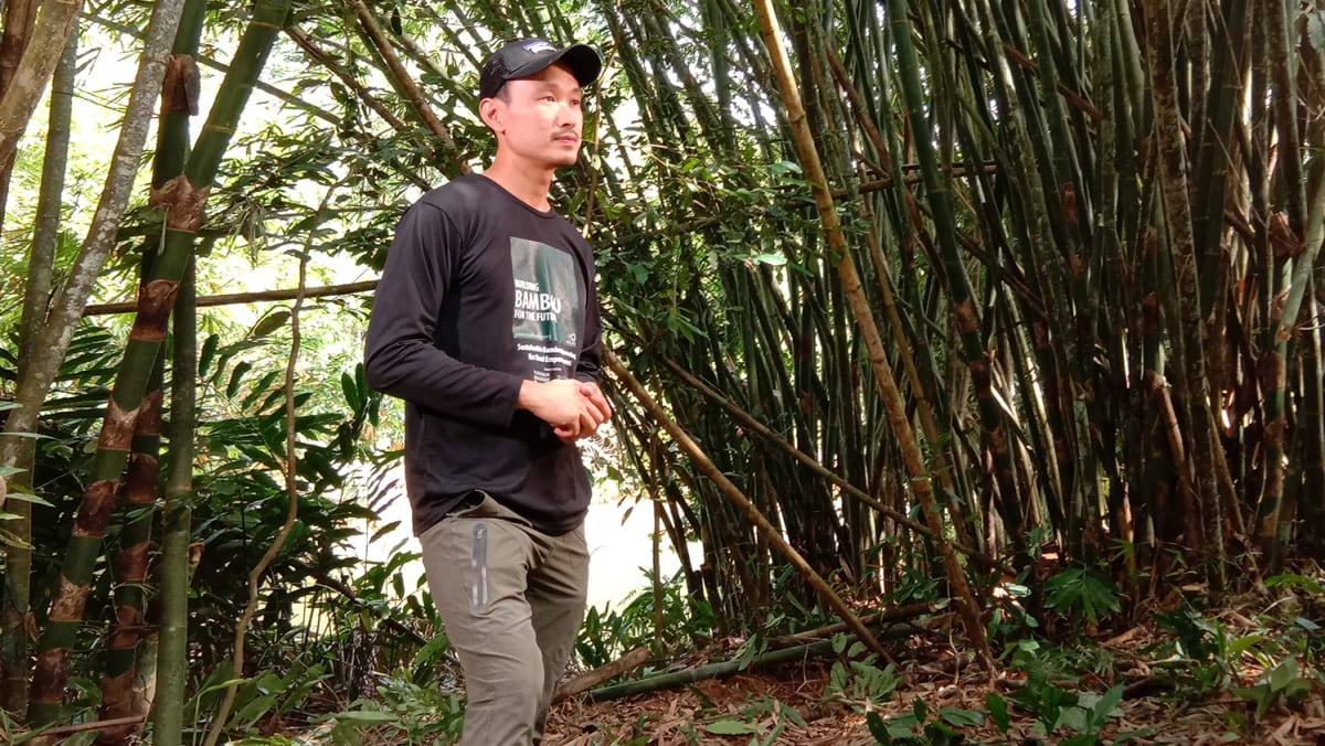 Meet the founder of an impact enterprise that’s regenerating 50 acres ...
