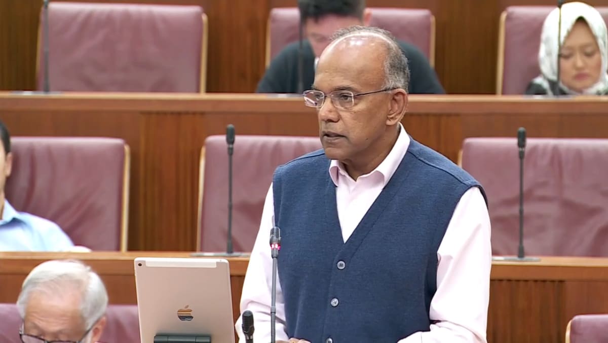K Shanmugam on Family Justice Reform Bill - CNA