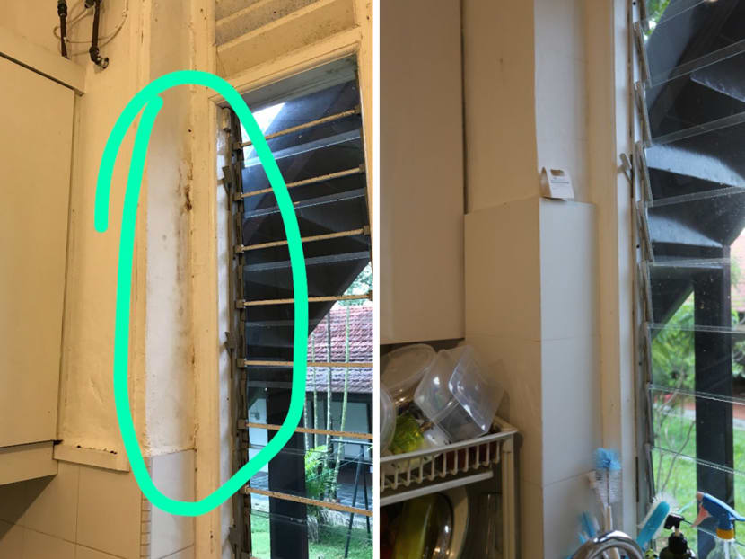 Ridout Road parliamentary debate: Shanmugam, Balakrishnan explain why ...