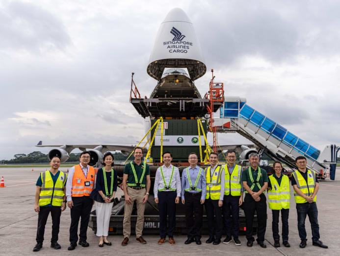Giant panda cub Le Le arrives in China, is now under quarantine - CNA ...
