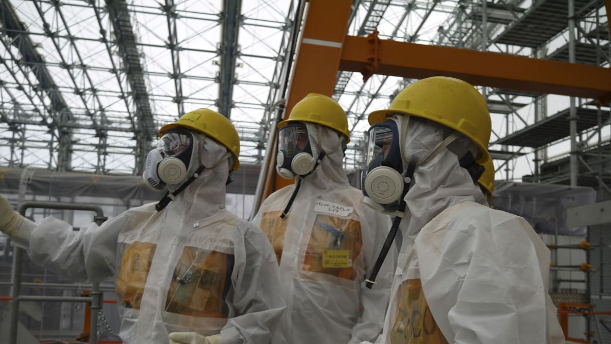 Fukushima nuclear clean-up takes its toll - TODAY
