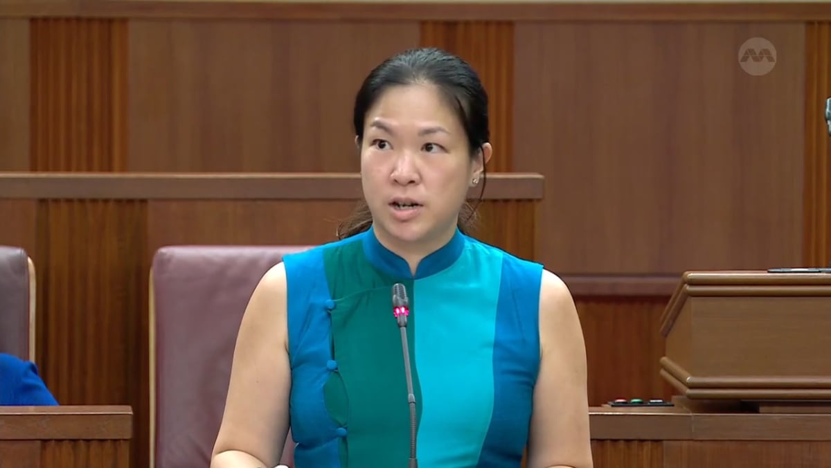 Committee of Supply 2024 debate, Day 4: He Ting Ru on discouraging ...