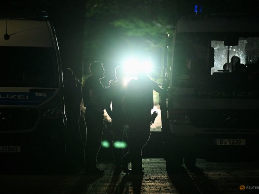 Lioness escapes in Berlin; police comb streets, woodlands - TODAY