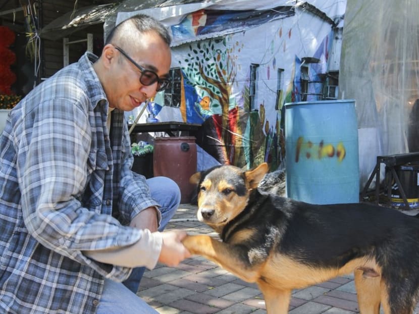 Is this mural village the last stand against Hong Kong’s rapid ...