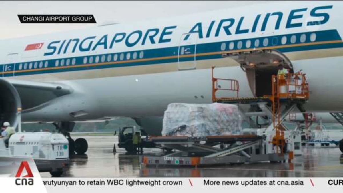 Congestion at global ports raises air freight rates in Singapore by 50% ...