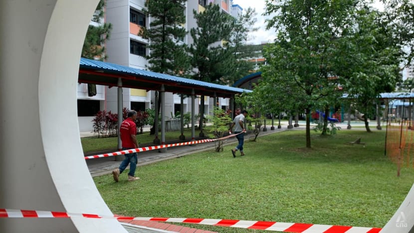 NParks rolls out crow trap, CCTV camera in Toa Payoh after receiving ...