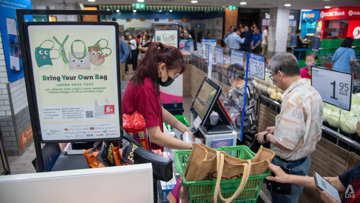 Shoppers still using plastic bags on day 1 of mandatory disposable bag ...