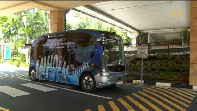 自动驾驶小巴士驶入圣淘沙 三个月载客逾6000人次 - 8world