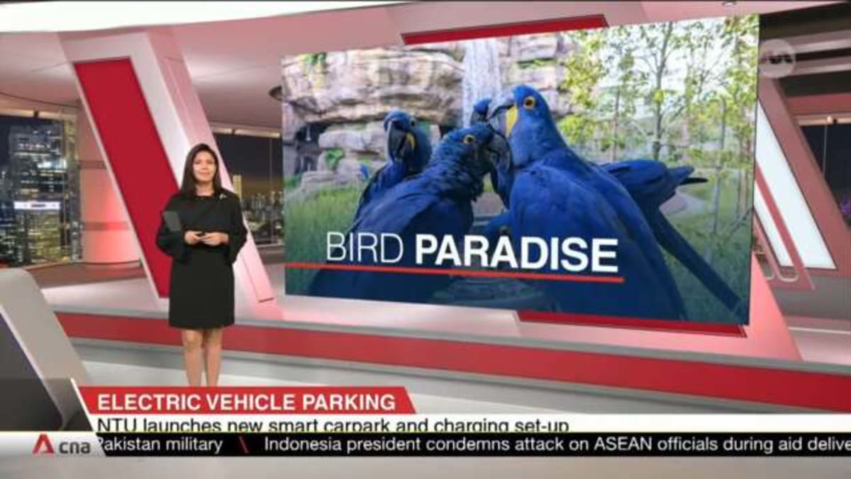Thousands of visitors head to Bird Paradise on first day of soft ...