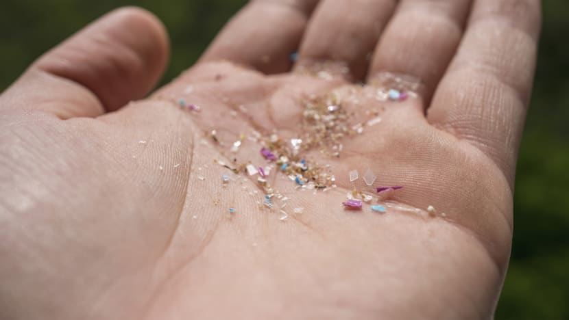 Commentary: Nanoplastics have been found in the human body - how ...