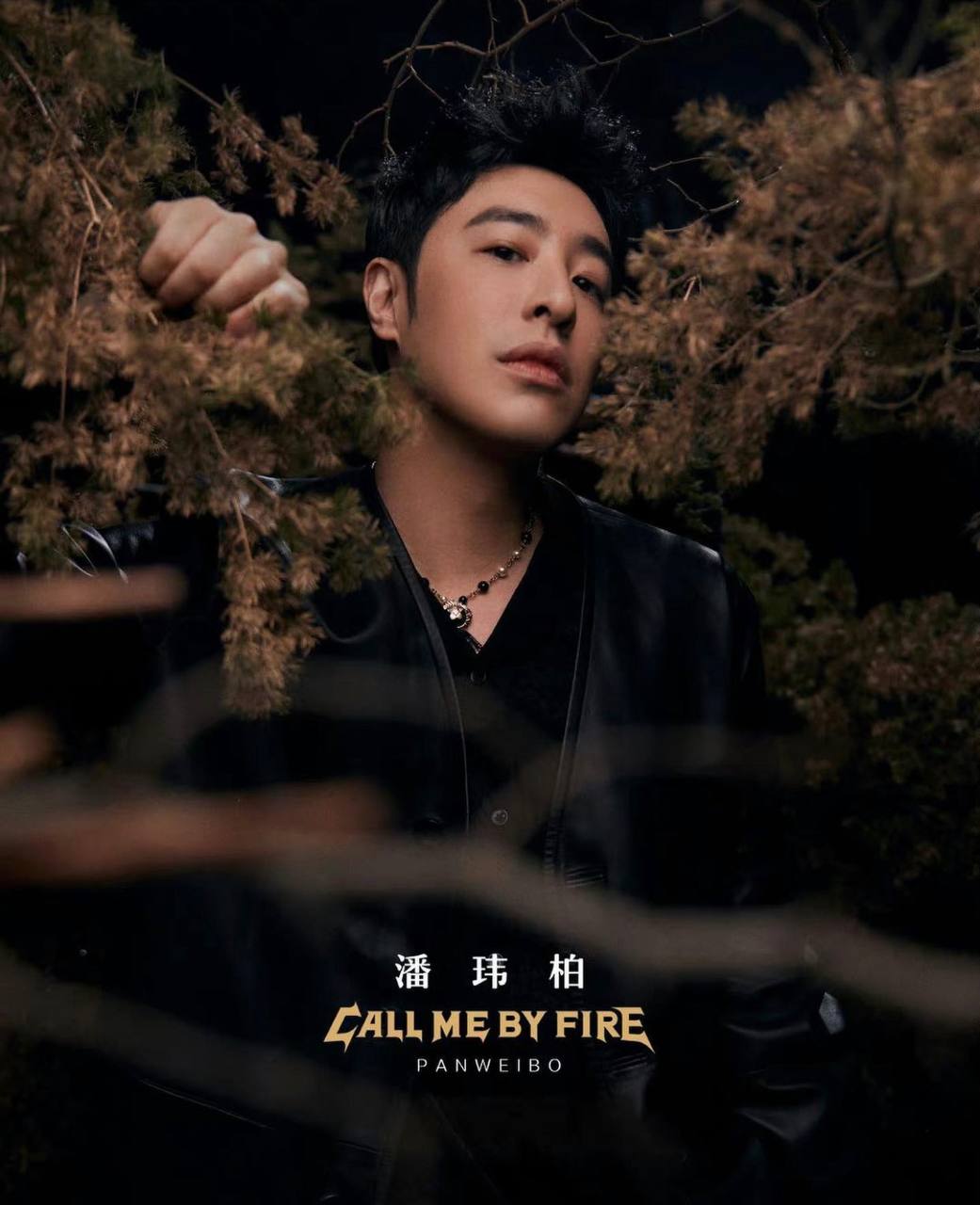 Alex To, Richie Ren, Raymond Lam And The Other Stars Competing In Call ...