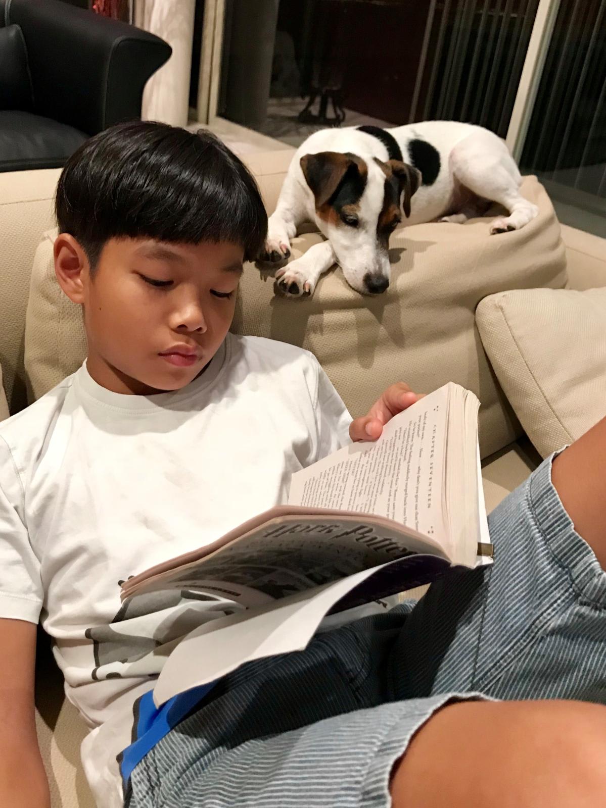 For the love of animals: How these teenagers raised thousands of ...