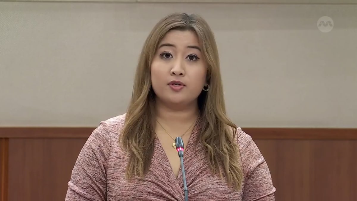 Committee of Supply 2023 debate, Day 5: Nadia Ahmad Samdin on ...