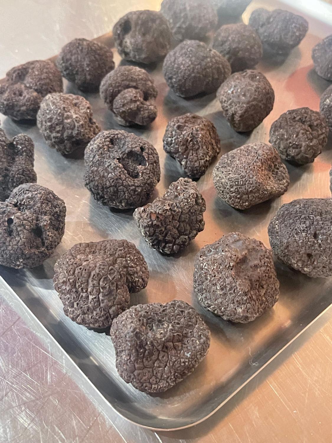 On the hunt for truffles in Italy – and where to find them in Singapore ...