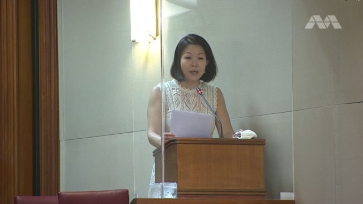 Committee of Supply 2021 debate, Day 1: Cheng Li Hui on protecting ...