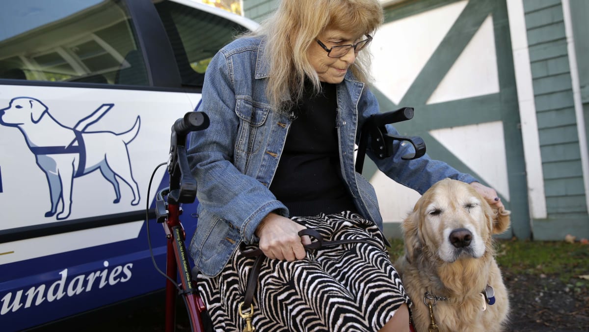 Woman reunites with guide dog that saved her - TODAY