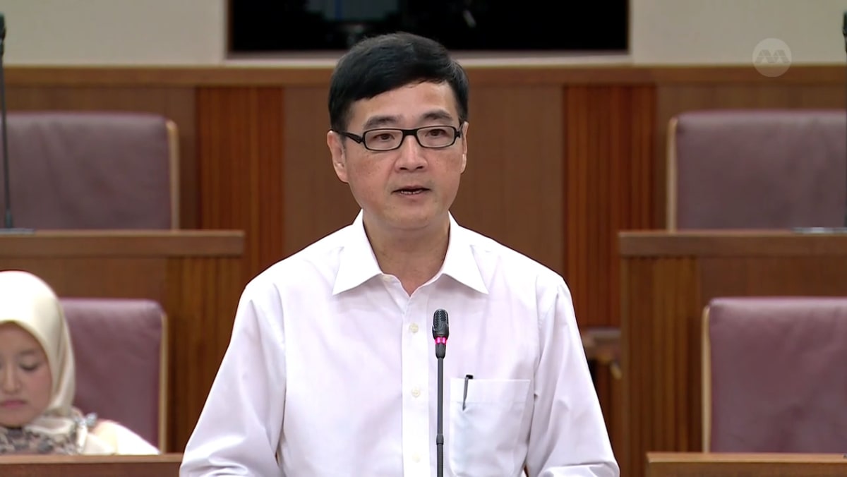 Heng Chee How on mental health issues affecting NSmen - CNA