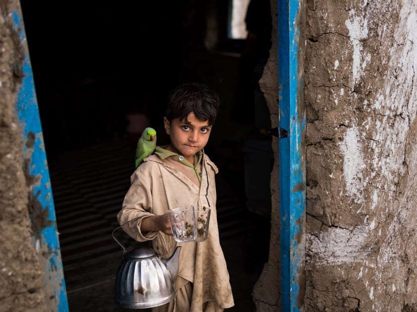 With just his parrot, a refugee boy starts a hard new life - TODAY