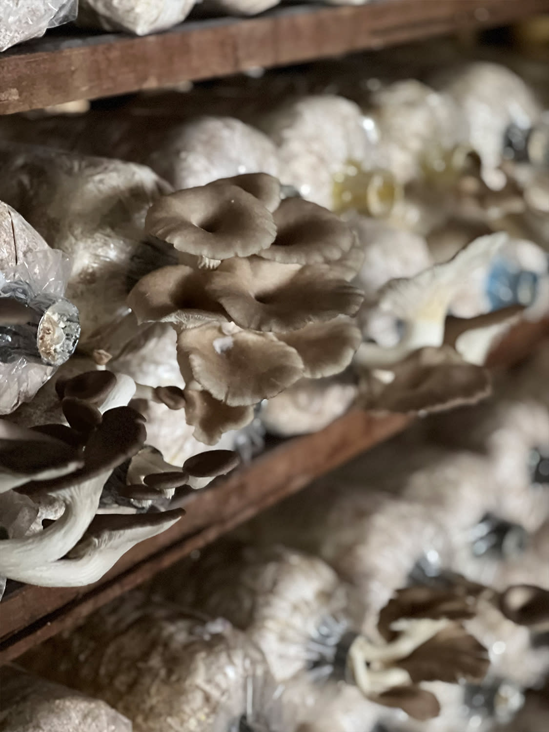 Why it’s time to revisit these newly renovated hotels in Southeast Asia ...