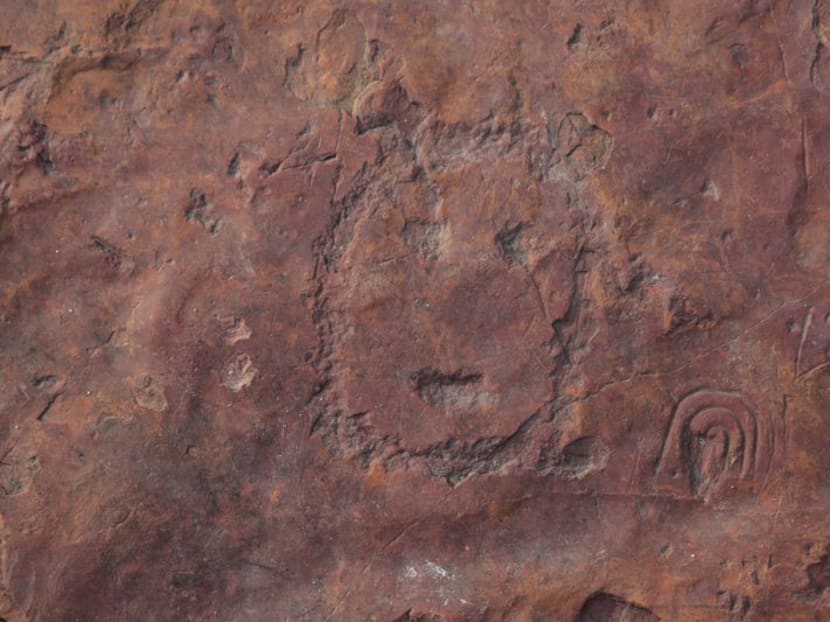 Ancient Amazon River rock carvings exposed by drought - TODAY