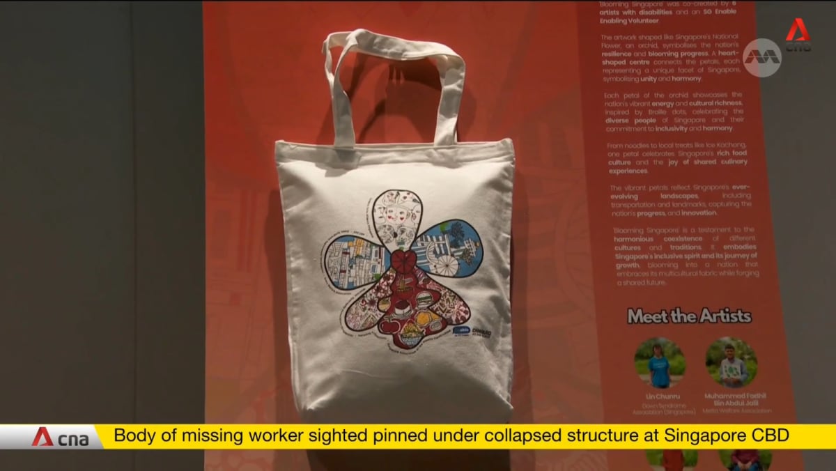 NDP 2023 tote bag to feature artwork by people with disabilities ...