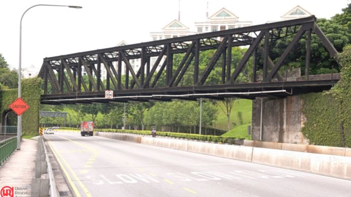 Iconic steel bridges along Rail Corridor up for conservation - TODAY