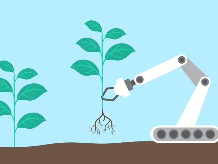 What does the future of food look like? 3D-printed meat, less rice in ...