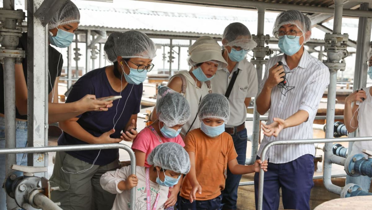 'We're fully booked': S'pore businesses offering factory tours report ...