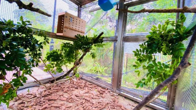 New rehabilitation centre to treat and care for wild animals in ...