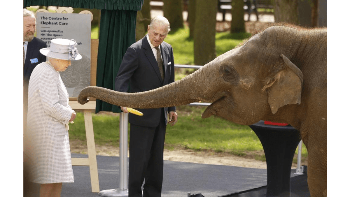 Queen Elizabeth opens Elephant Care Centre at Whipsnade Zoo - 8days