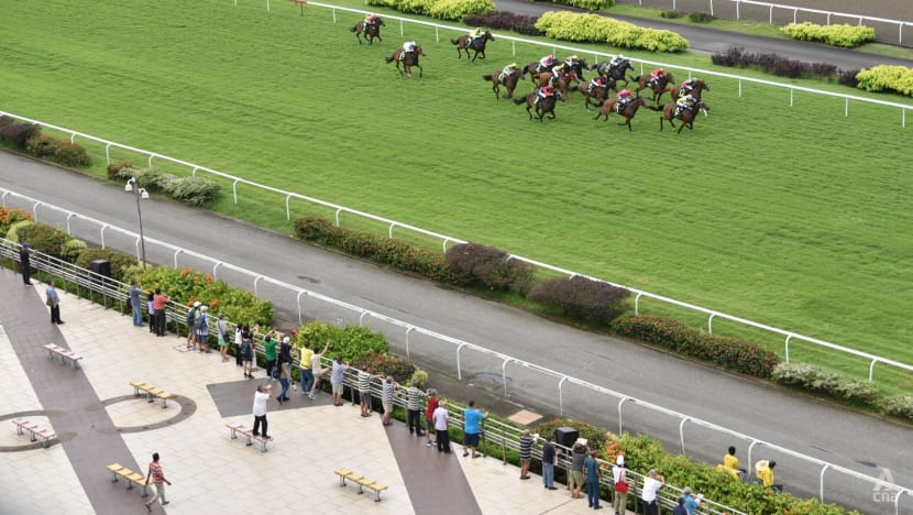Racehorse owners, industry to appeal against Singapore Turf Club ...
