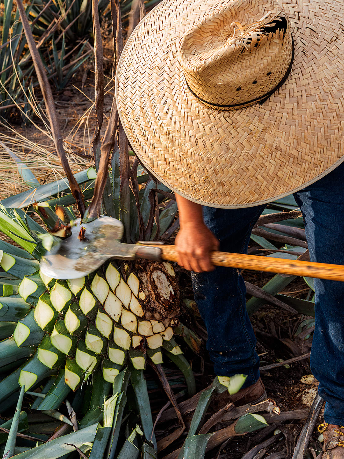 Best sipping tequilas for your next party - CNA Luxury
