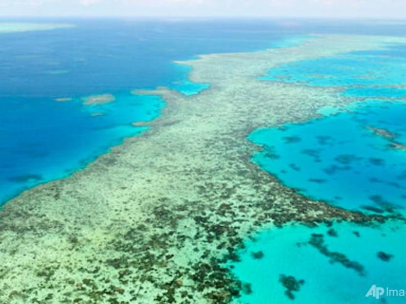 UNESCO chides Australia over Great Barrier Reef proposal - CNA Lifestyle