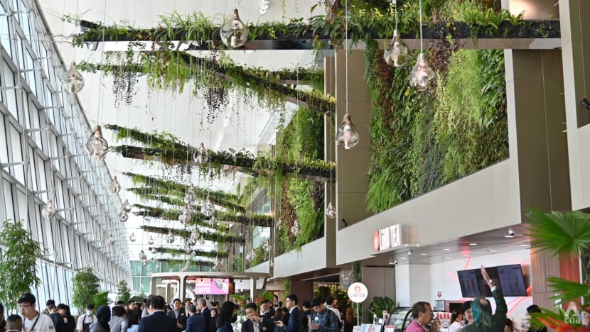 Changi Airport's Terminal 2 fully reopens with lush greenery and ...